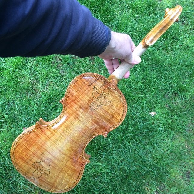 15" 5-String Viola Varnish Progress | Five String Fiddles